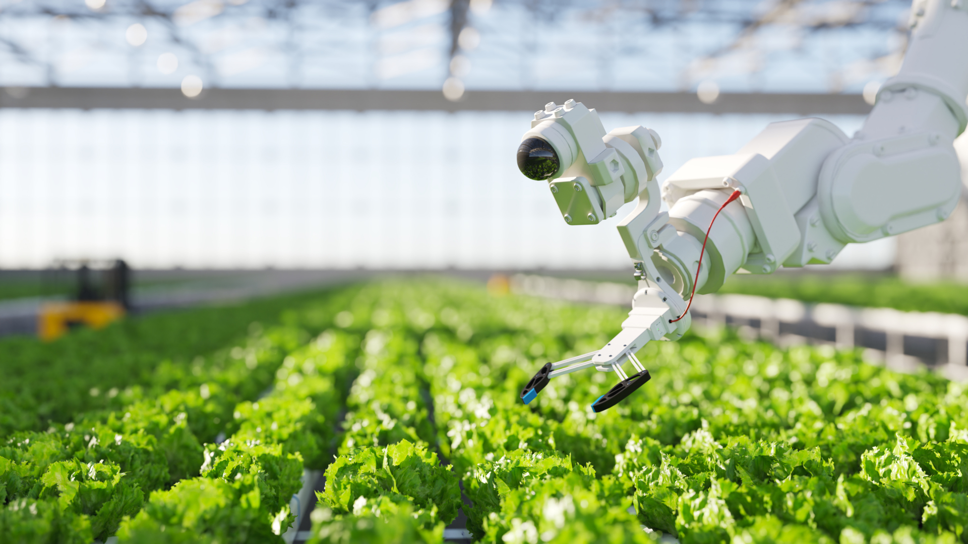 Robots in Agriculture: Transforming the Future of Farming - Fresh ...